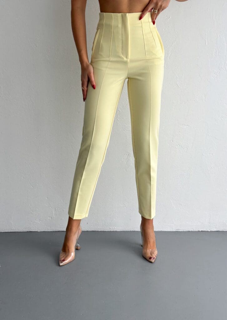 Light Yellow Haigh Waist Pleated Pants - UNBOX Basics